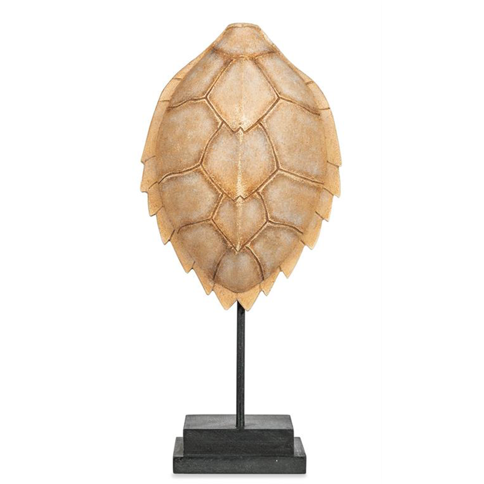 Faux Hawksbill Turtle Shell – Trove Warehouse