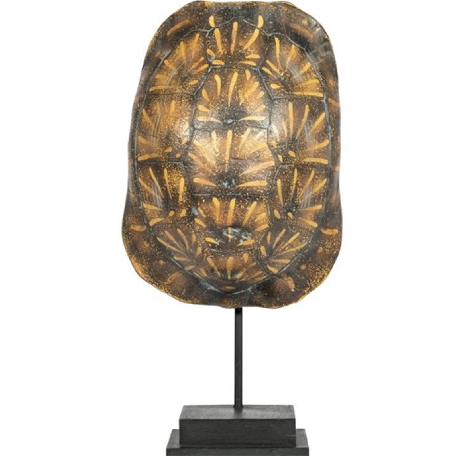 Faux Tortoise Shell Box – Trove Warehouse