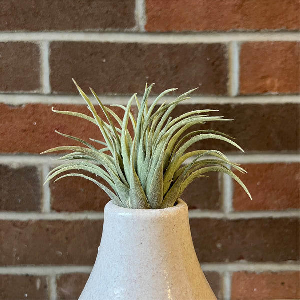 Grass Pick – Trove Warehouse