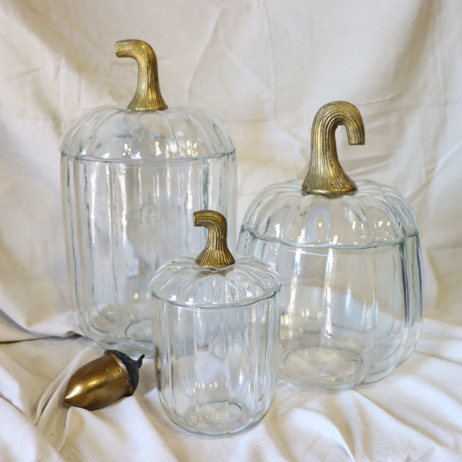 Pumpkin Terrarium – Trove Warehouse