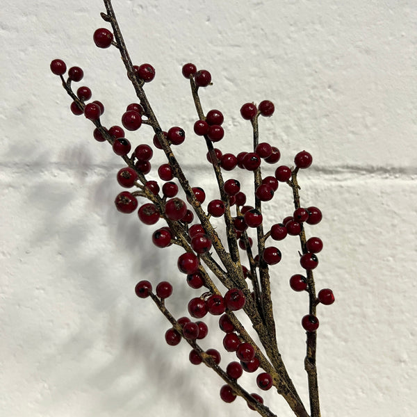 Red Berry Pick – Trove Warehouse