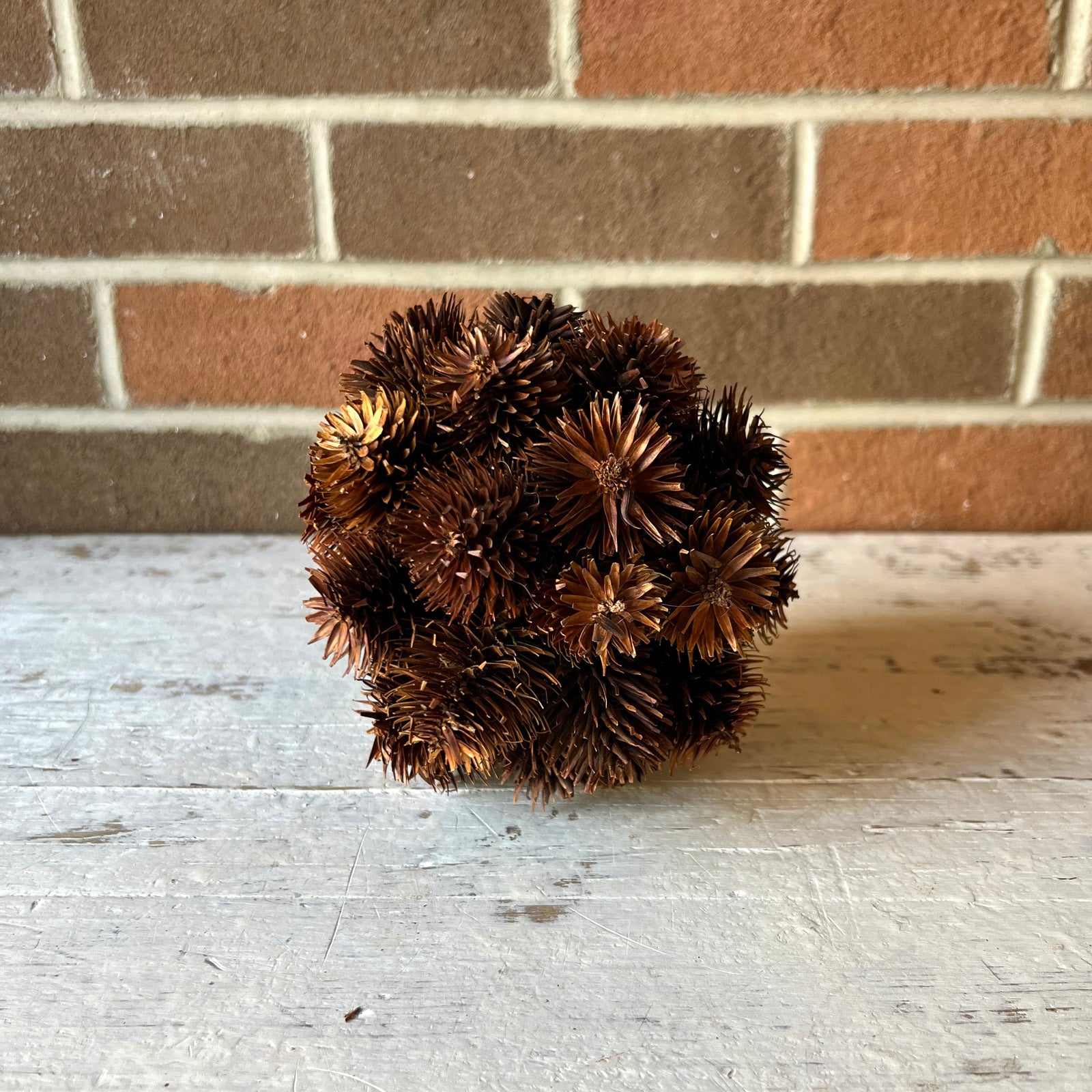 Dried Thistle Ball – Trove Warehouse