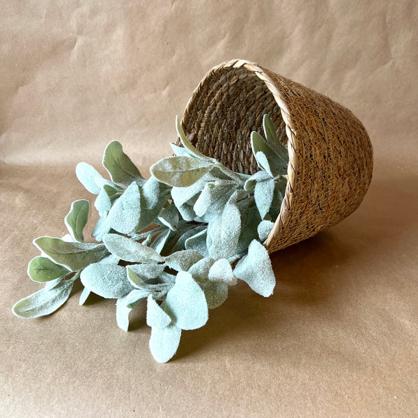 Flocked Lamb's Ear Pick – Trove Warehouse