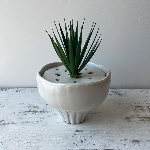 Aloe Pick – Trove Warehouse