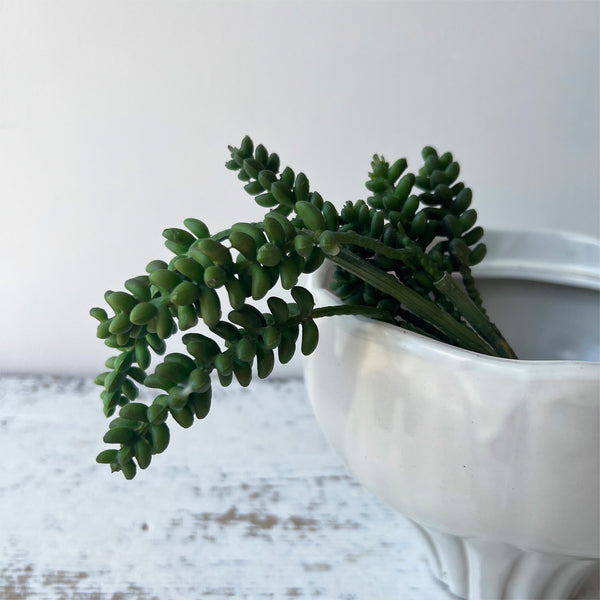 Donkey Tail Pick – Trove Warehouse