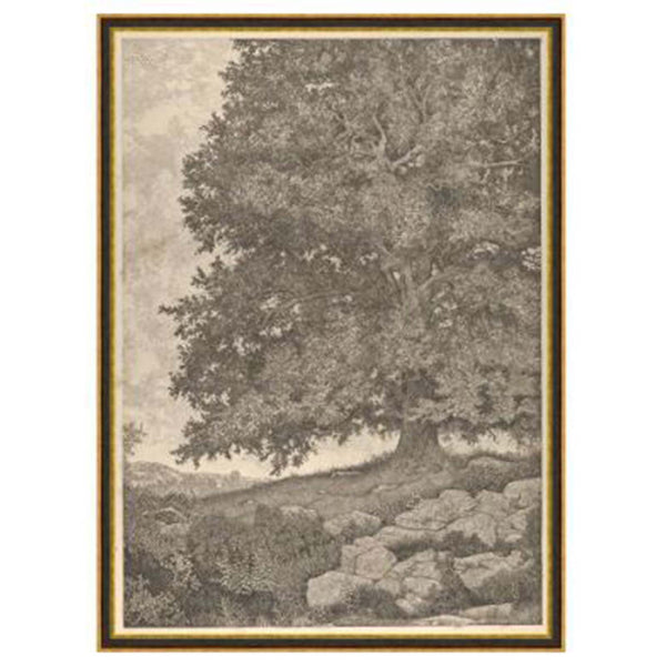 Grandfathers Tree – Trove Warehouse